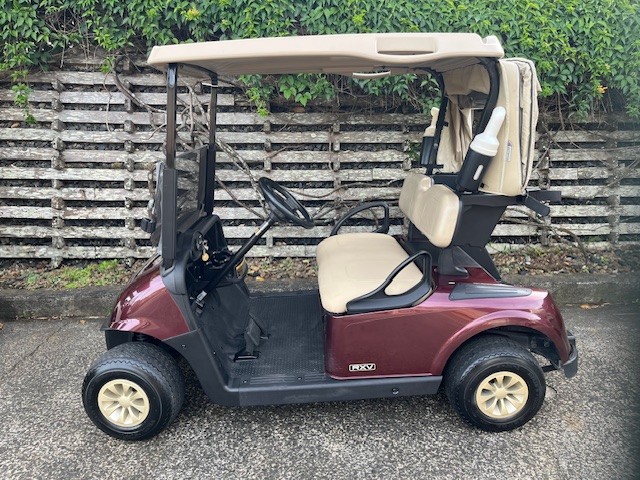 EZGO RXV GOLF CART Electric 2020