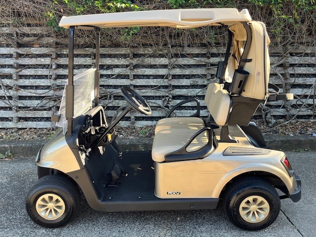 EZGO RXV GOLF CART Electric 2020
