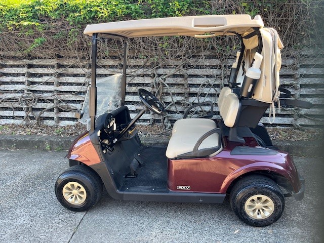 EZGO RXV GOLF CART Electric 2020