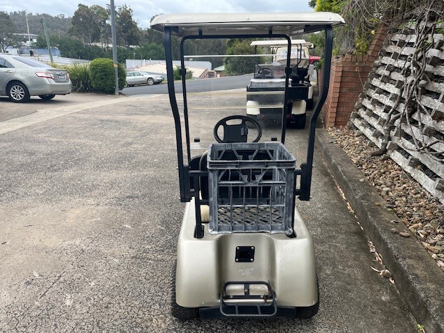 HAWK SINGLE SEATER ELECTRIC 2017