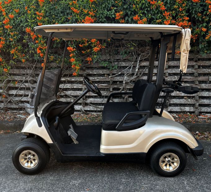 YAMAHA G29 GOLF CART ELECTRIC 2014